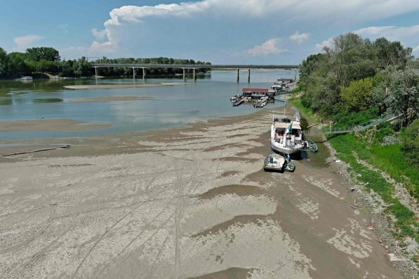 Italy's famous Po Valley rice paddies decimated by drought | The ...