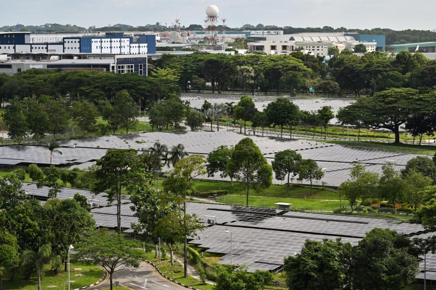 80,000 more trees to be planted by 2030 to cool industrial estates: Tan ...