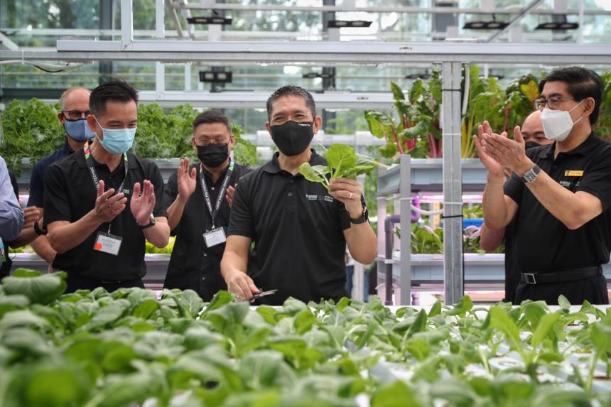 Republic Poly launches new facility to train students in agricultural ...