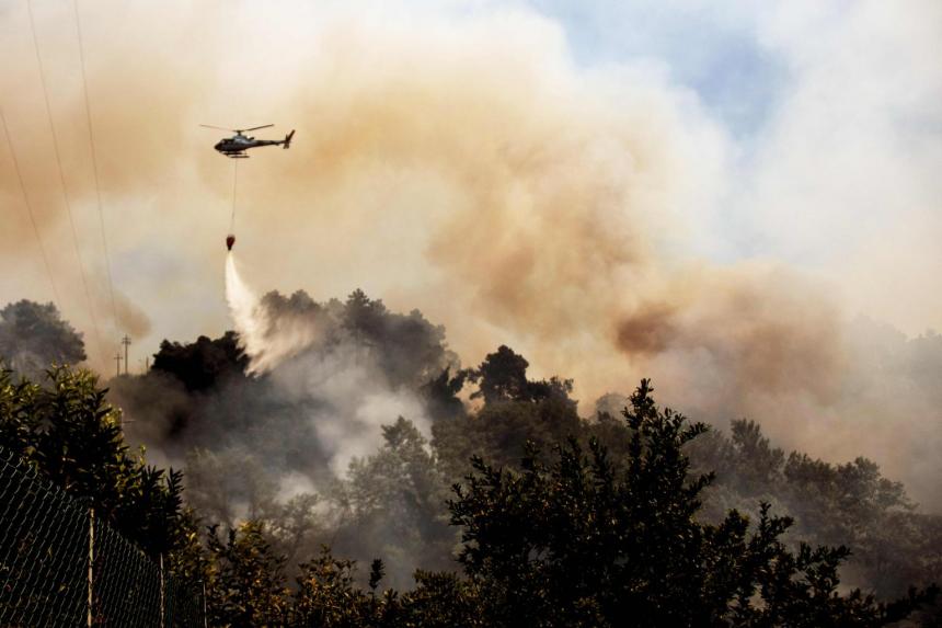 Wildfires in Europe burn second-biggest area on record | The Straits Times