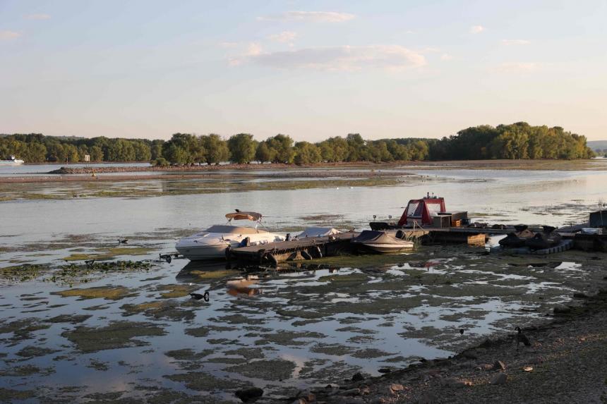 Rhine drops below crucial level, impacts river transport | The Straits ...