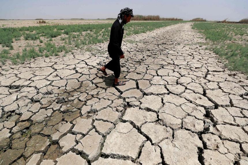 Iraq's Garden of Eden now 'like a desert' | The Straits Times