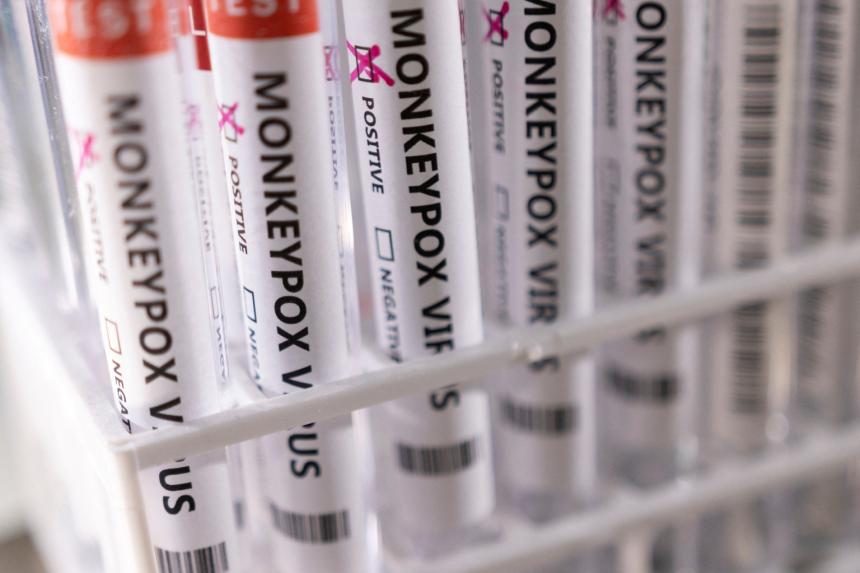 Studies under way to see if mutations behind monkeypox spread: WHO ...