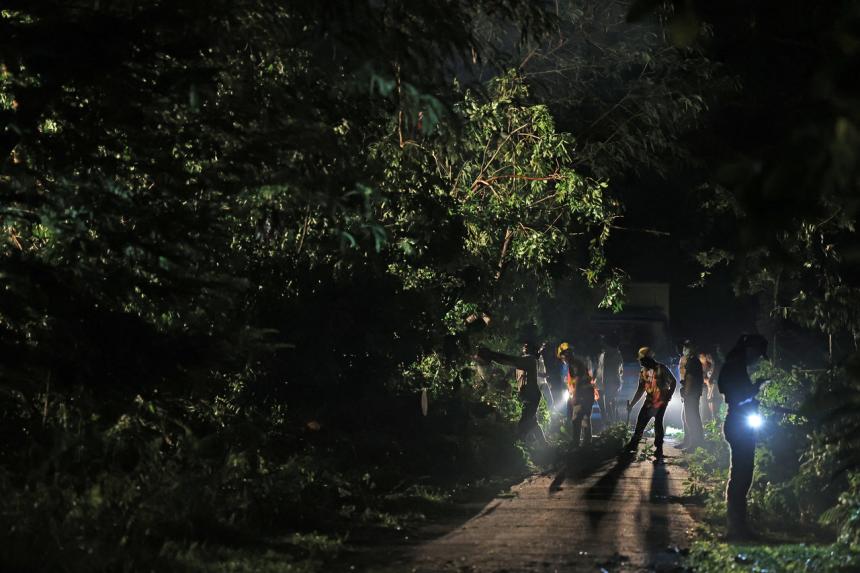 3 people taken to hospital after tree falls in Ghim Moh | The Straits Times