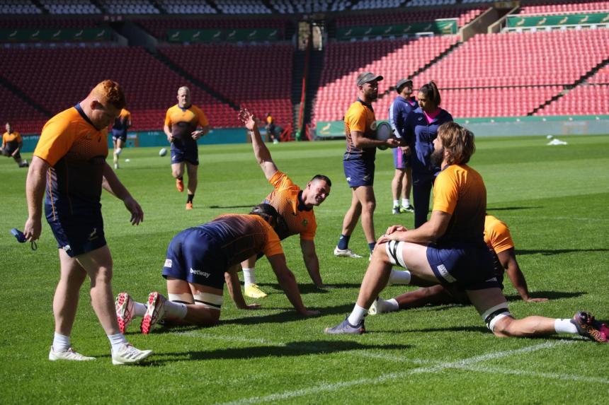 Rugby: Boks' 'Bomb Squad' still pack plenty of dynamite, says prop Koch ...