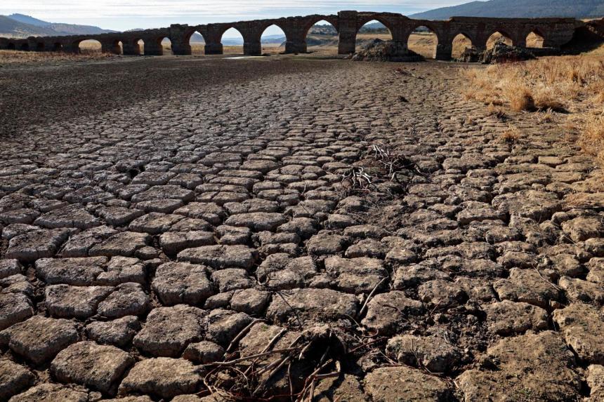 'Dangerous' heatwaves likely to grip the tropics daily by 2100: Study ...