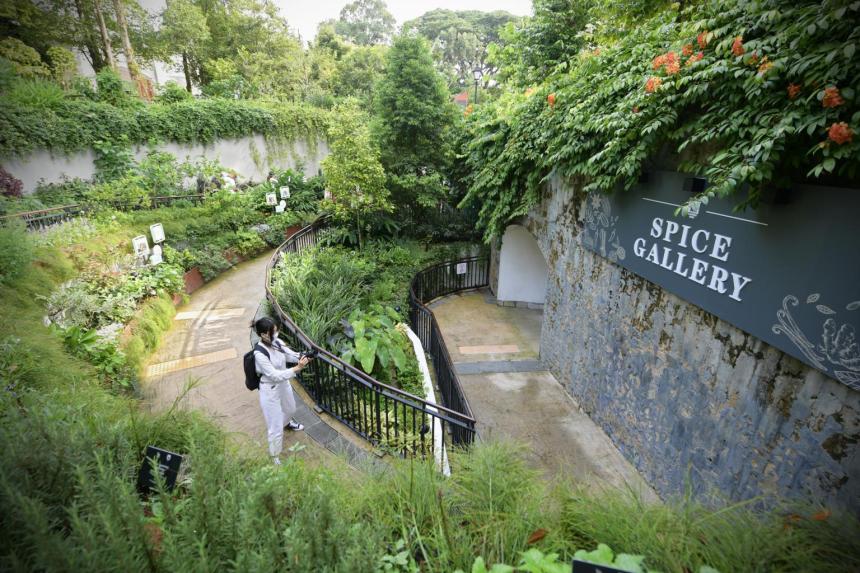 New heritage gallery and spice gallery open in Fort Canning Park | The ...