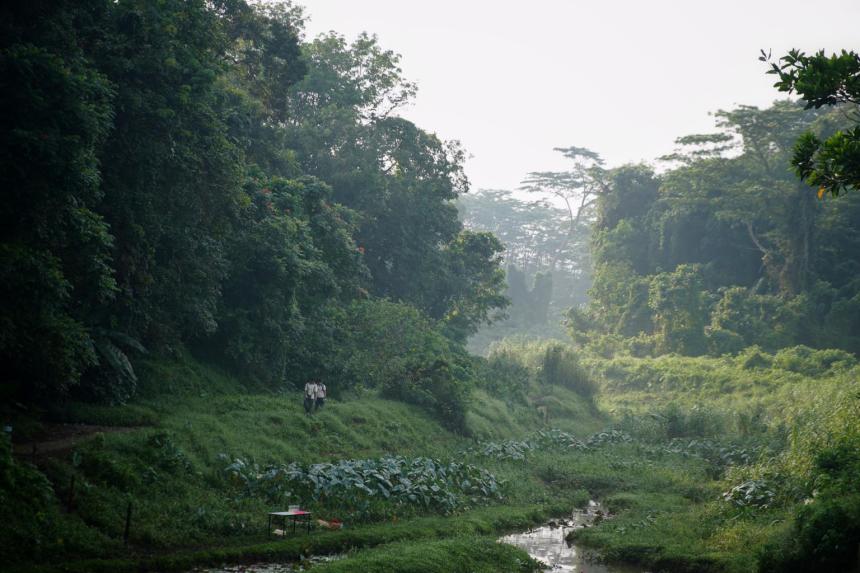 NParks to centralise environmental assessments of nature-sensitive ...