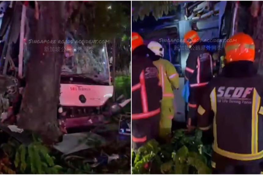 Bus Driver Who Crashed Into Tree Outside The Depot Is 39th Workplace