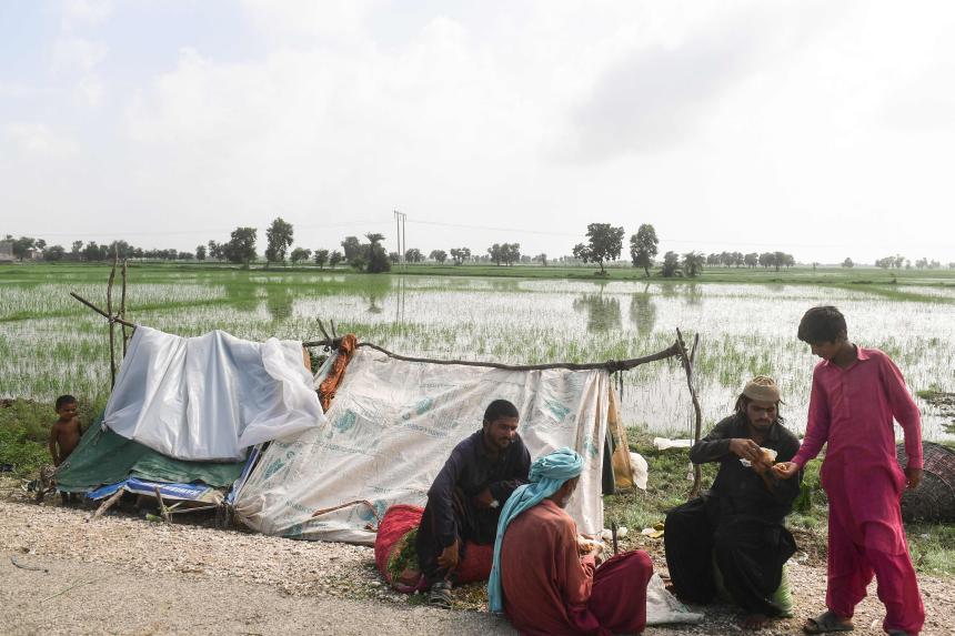 Heat, then floods ruin Pakistani farmers' livelihoods | The Straits Times