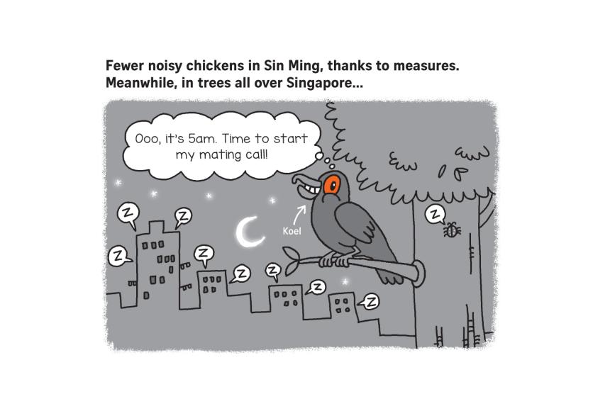 A Cartoonist’s View: Lee Chee Chew, Nov 5, 2022 | The Straits Times