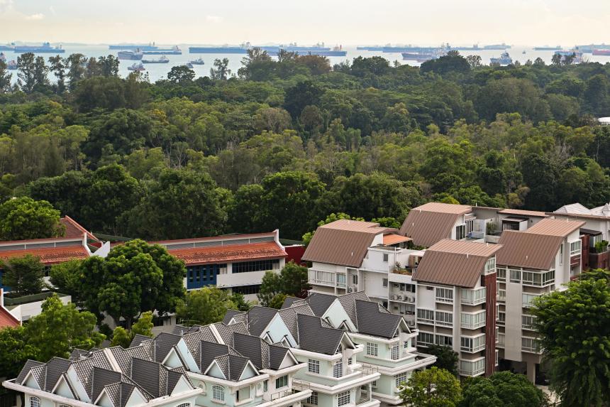 31ha of forested areas in Bedok to make way for 10,000 new homes in Bayshore | The Straits Times