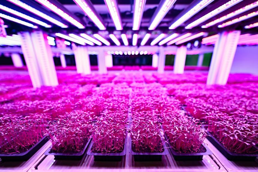 Fully automated facility at ITE to train students in high-productivity ...