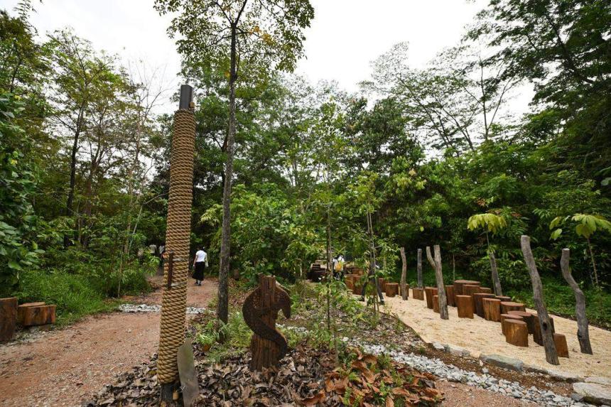 Newly opened Rifle Range Nature Park offers 7km-long trails, rain garden and a clifftop view ...