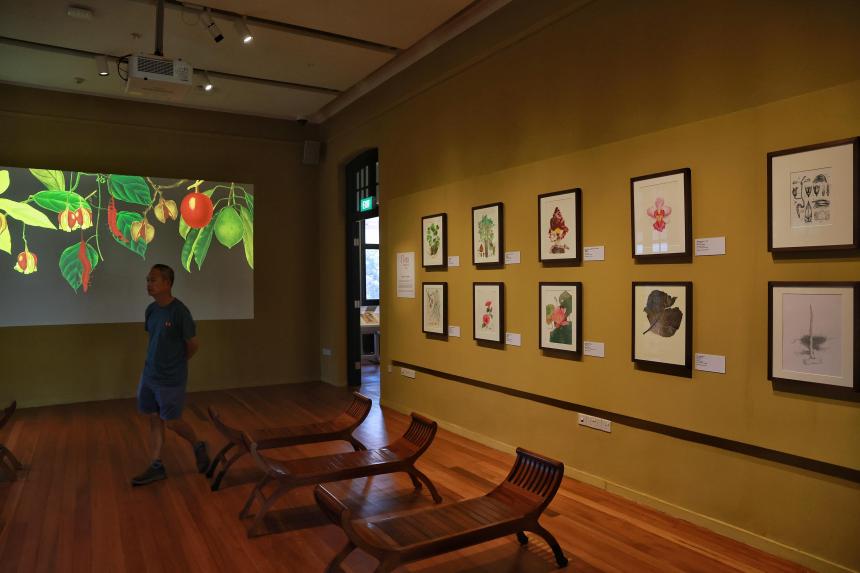 Science blossoms at Singapore Botanic Gardens’ botanical art exhibition ...