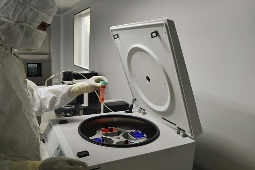 Japanese biotech firm uses worms in ‘world’s first’ early-screening ...