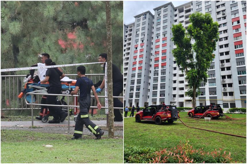 Firefighter, 19, dies after falling unconscious while putting out blaze at Henderson Rd flat ...