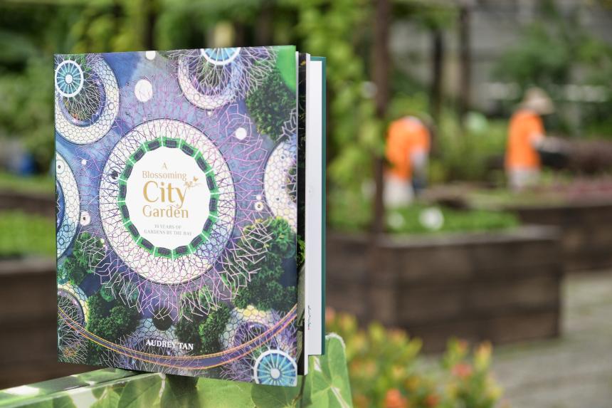 New book looks at 10 years of Gardens by the Bay, challenges it faced ...