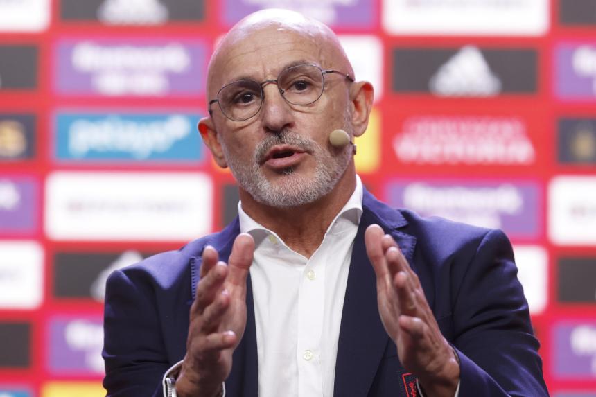 World Cup: New Spain coach Luis de la Fuente defends appointment | The ...
