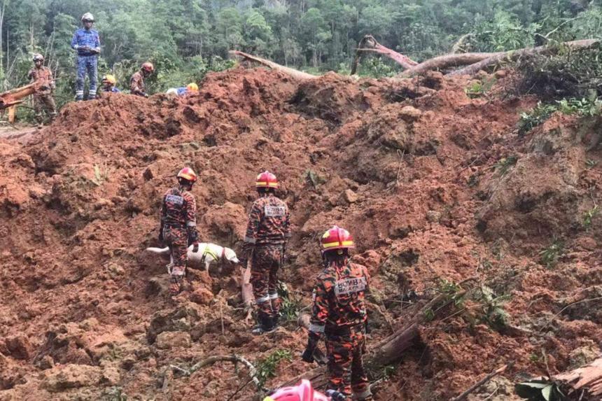 ‘The sound got louder... but it was too late to run’: Family from S’pore recalls horror of ...