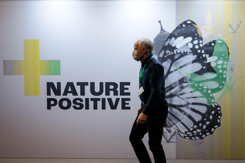 China urges action as ministers meet at UN nature summit | The Straits ...