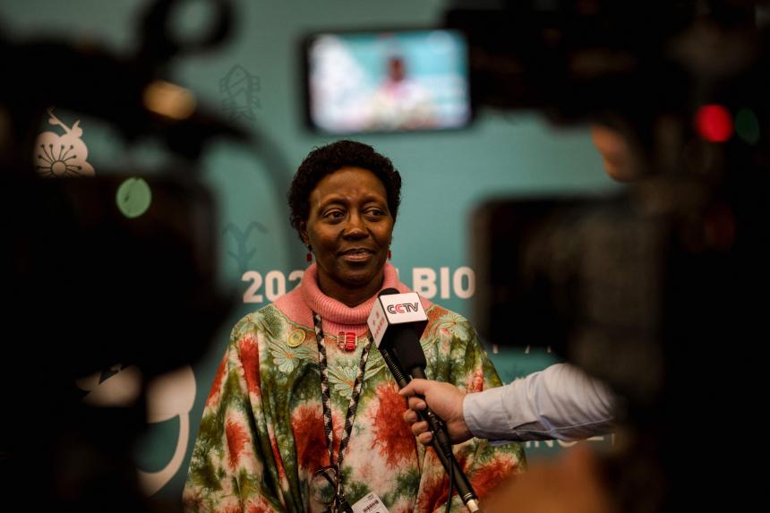 At COP15, businesses urged to act for nature | The Straits Times