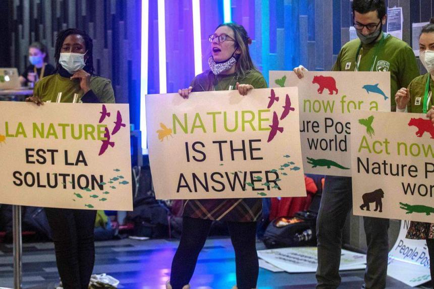 Clock ticking down on vital UN nature talks | The Straits Times