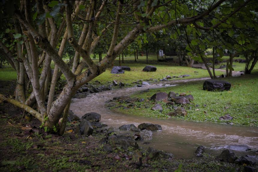 Refurbished park, elevated pathways in Jurong West from 2024 as modern ...