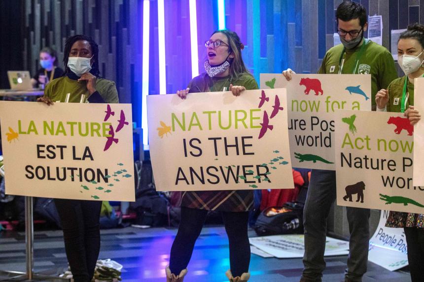 ‘30-by-30’: Key takeaways from the COP15 biodiversity summit | The Straits Times