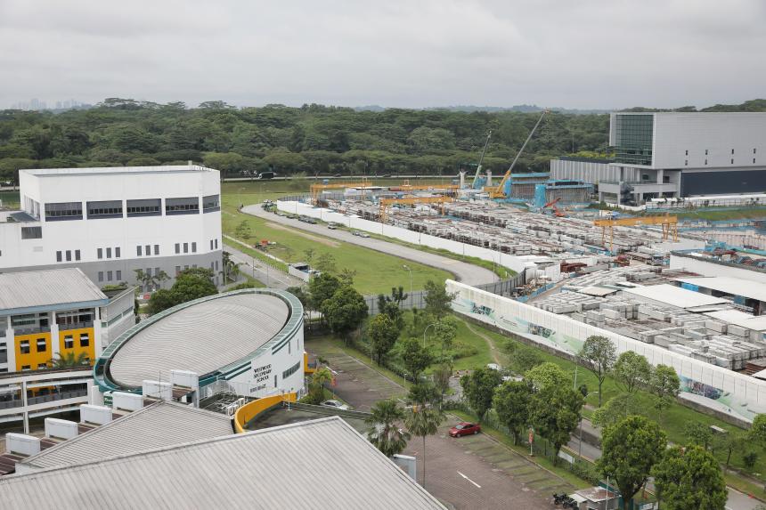 Environmental study to precede development of 40ha forested patch in ...