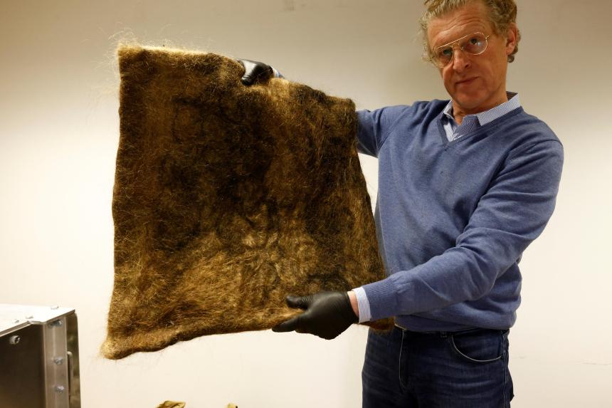 Human hair recycled in Belgium to protect the environment | The Straits ...