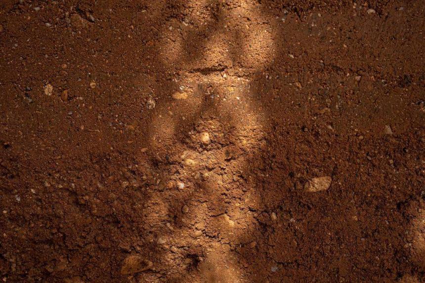 Ditching concrete for earth to build a cleaner future | The Straits Times