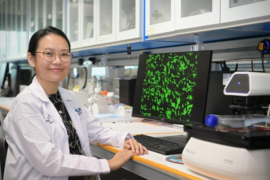 New therapy shows promise in treating deadly brain cancer, advanced ...