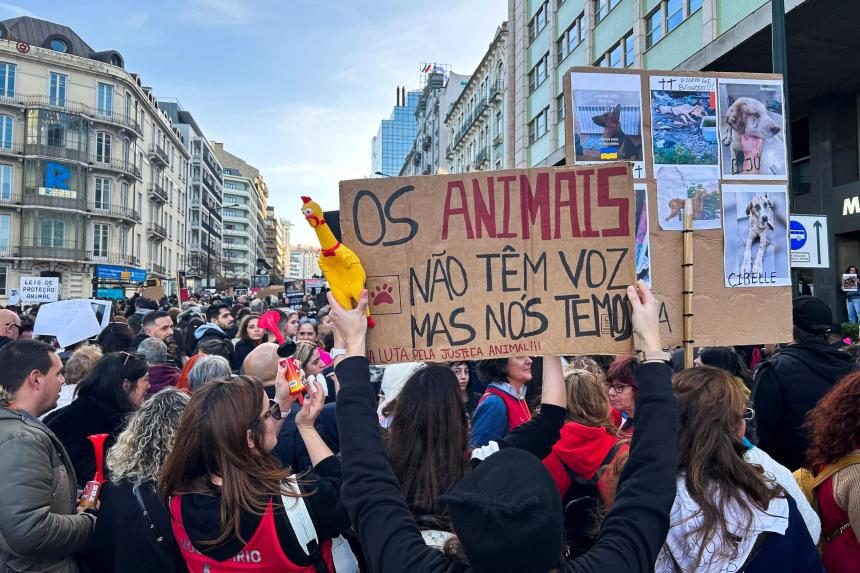 Thousands protest in Portugal for animal rights amid constitutional ...