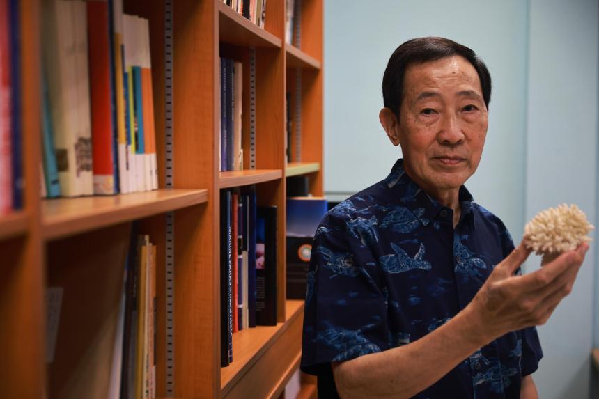 Coral reef advocate Chou Loke Ming is second S’porean named Asean Biodiversity Hero | The ...