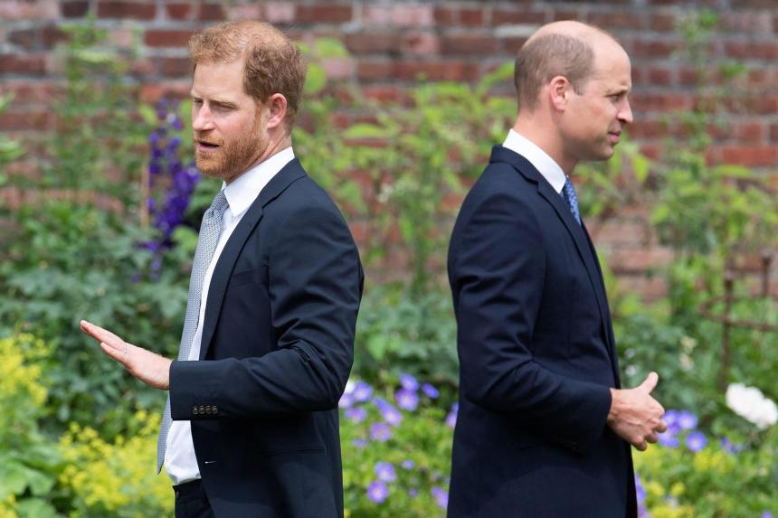 Brother v brother: Lessons from Prince Harry | The Straits Times