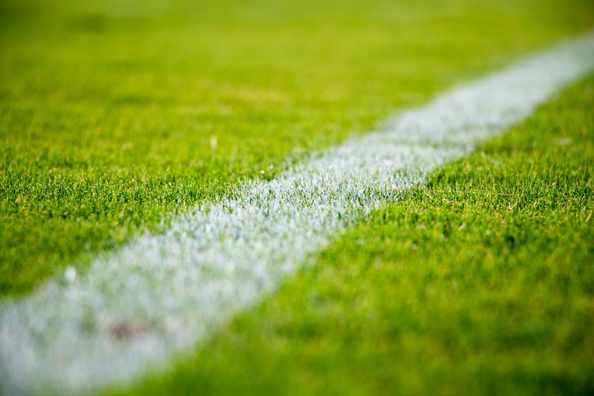 In search of fields for the love of the game | The Straits Times