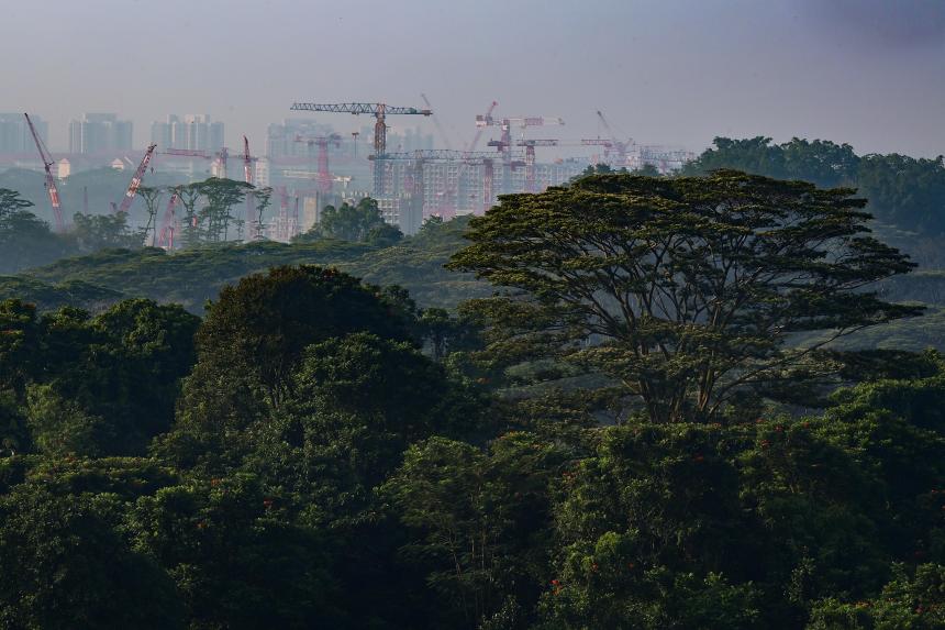 ACS Primary relocation likely to boost demand for Tengah BTO flats ...