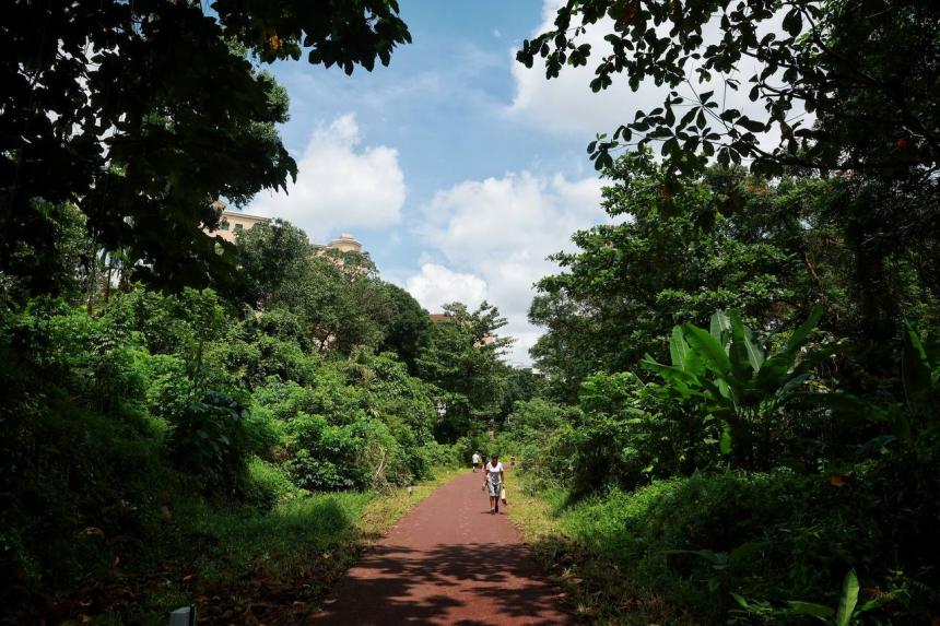 Northern stretch of Rail Corridor opens to offer 21km of green trails ...
