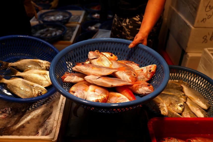 Squid, pineapples and fish: KMT polishes its branding ahead of 2024 ...