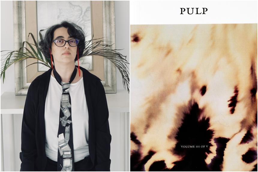 Book review: Pulp friction in Shubigi Rao’s look at banished books ...