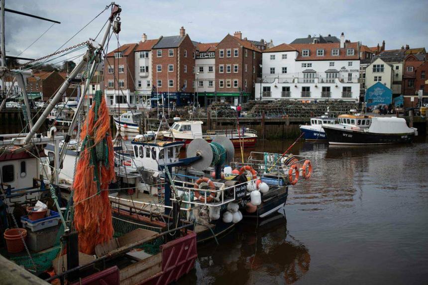 Pincered at sea, lobsters get new hope on land in UK | The Straits Times