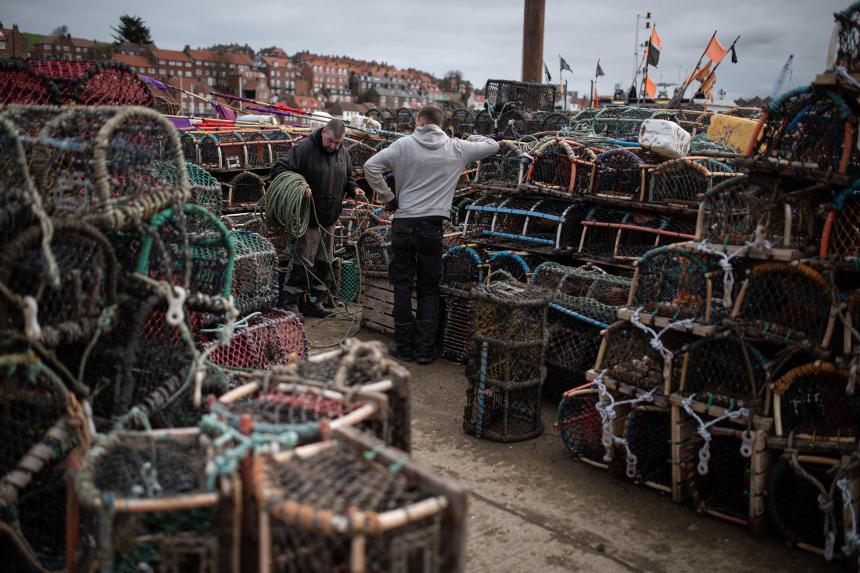 Pincered at sea, lobsters get new hope on land in UK | The Straits Times