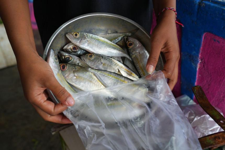 How to reduce the risks of eating fish in Indonesia | The Straits Times