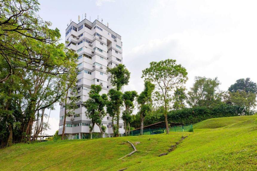 Wing Tai buys Holland Tower for $76.3 million | The Straits Times