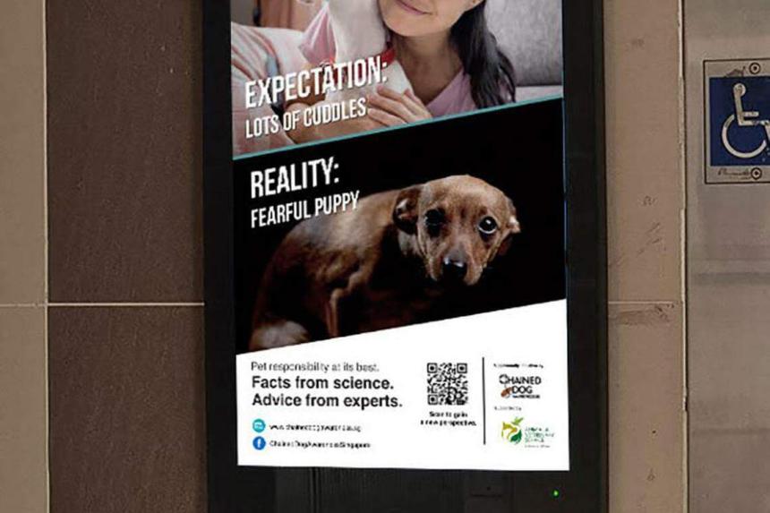 Local dog welfare group launches drive to educate public on science ...