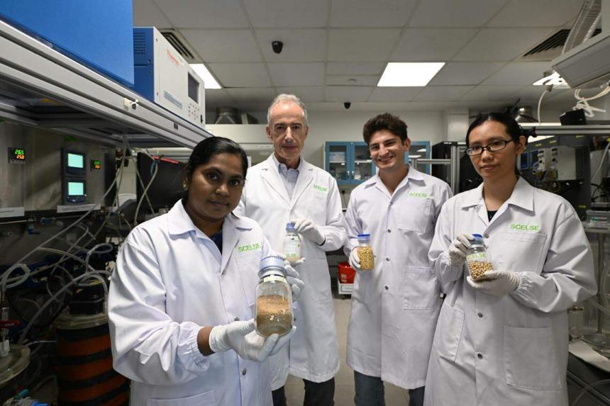 NTU scientists find way to grow fish food from microbes cleared by food ...