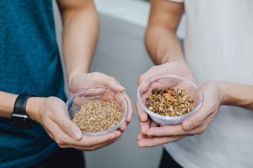 Giving food waste a new lease of life: How students turn beer brewing ...