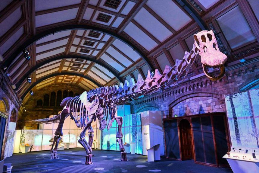 Replica of one of largest dinosaurs to walk the Earth takes over from ...