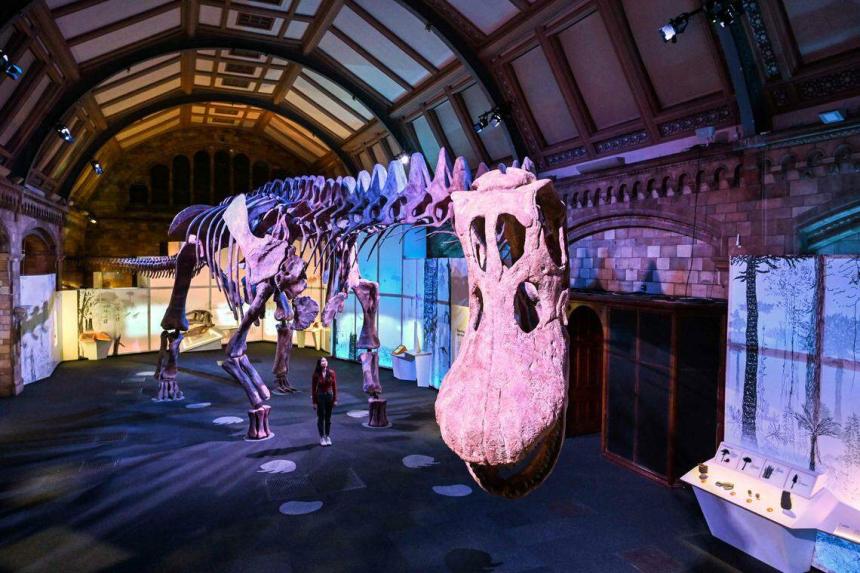 Replica of one of largest dinosaurs to walk the Earth takes over from ...